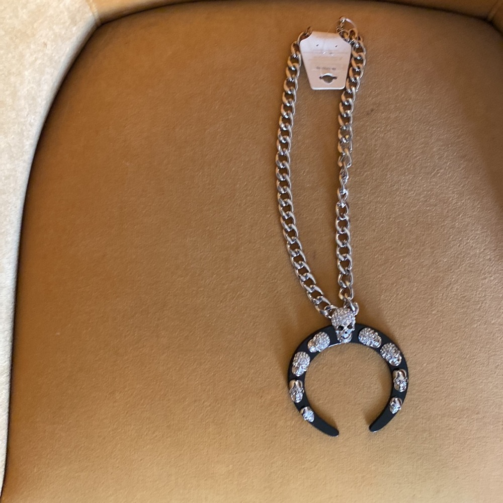 Heavy Metal Silver Skull Horseshoe Rhinestone Embelli… - Gem